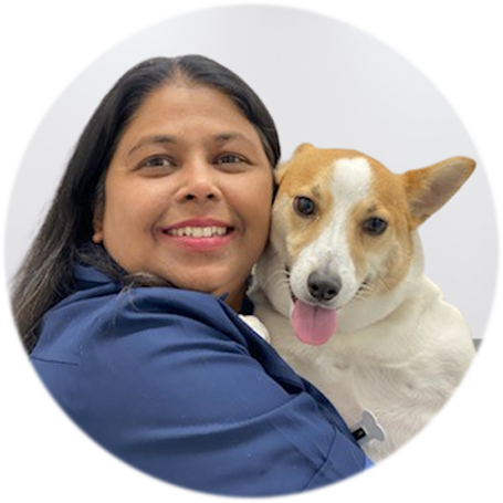 Stud Road Vet Clinic